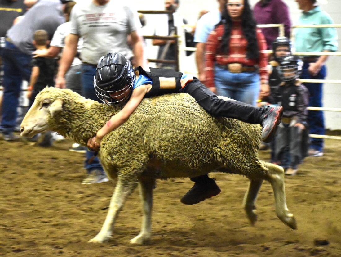 Crazy events define the Ranch Rodeo spectacle | News, Sports, Jobs ...